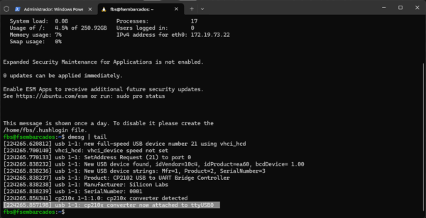 ESP-IDF no WSL (Windows Subsystem for Linux): Guia Completo
