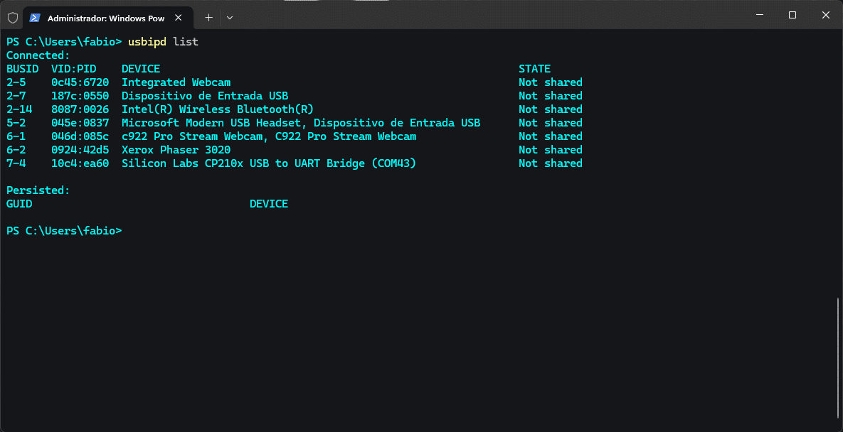 ESP-IDF no WSL (Windows Subsystem for Linux): Guia Completo